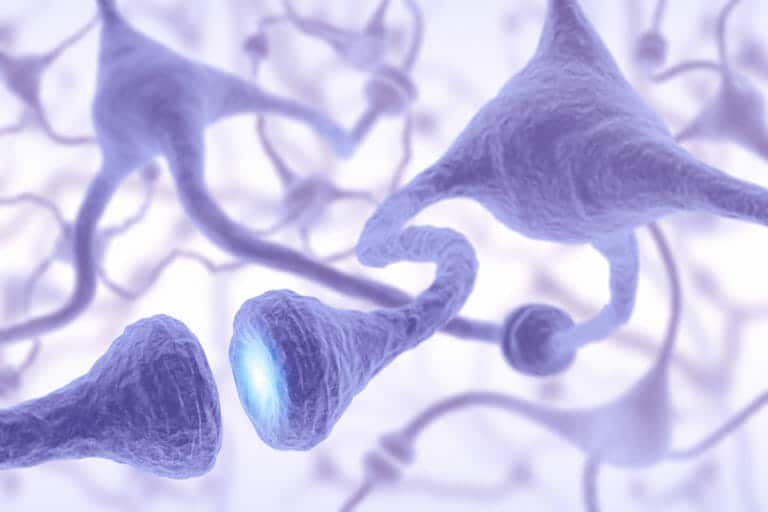 FGL Peptide: Benefits, Dosage and Side Effects