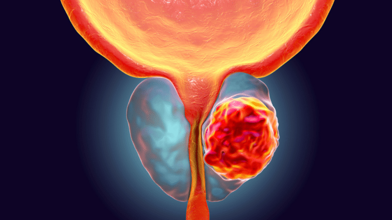 Libidon: The Prostate Gland Peptide Bioregulator